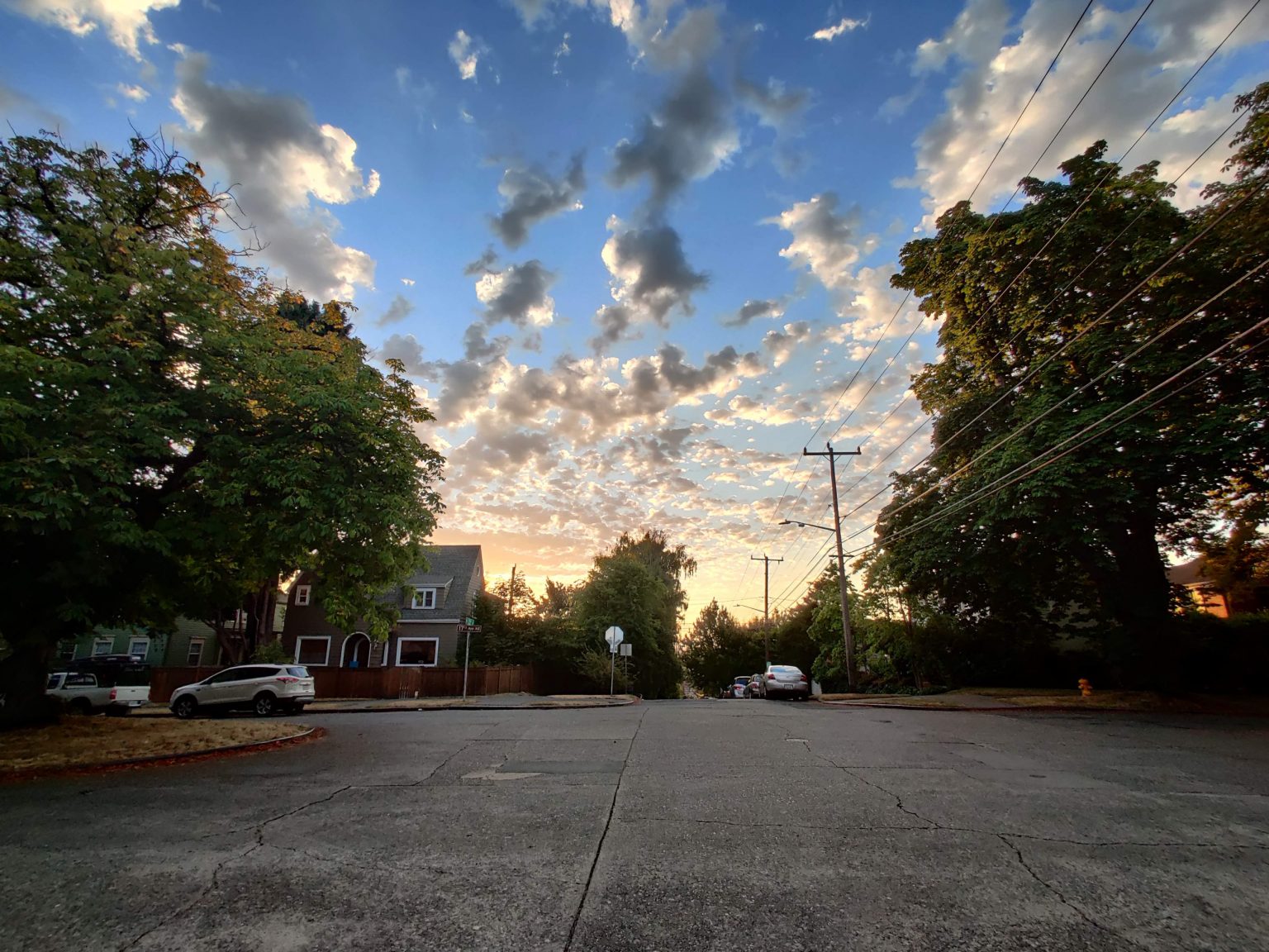 UPCC Summer Newsletter – The University Park Community Club